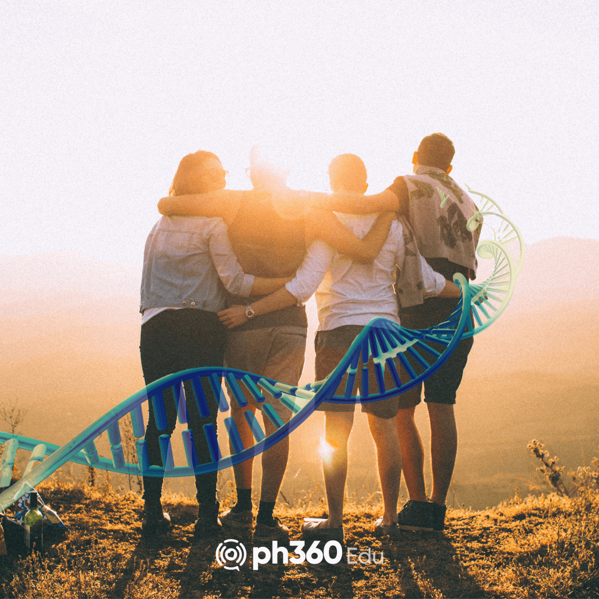 Shae Group Community Marketplace - Shae